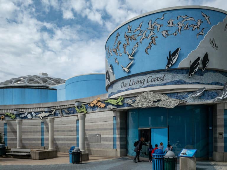 Brookfield Zoo – Chicago Traveler