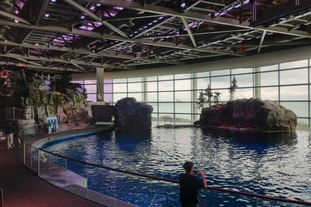 Shedd Aquarium – Chicago Traveler