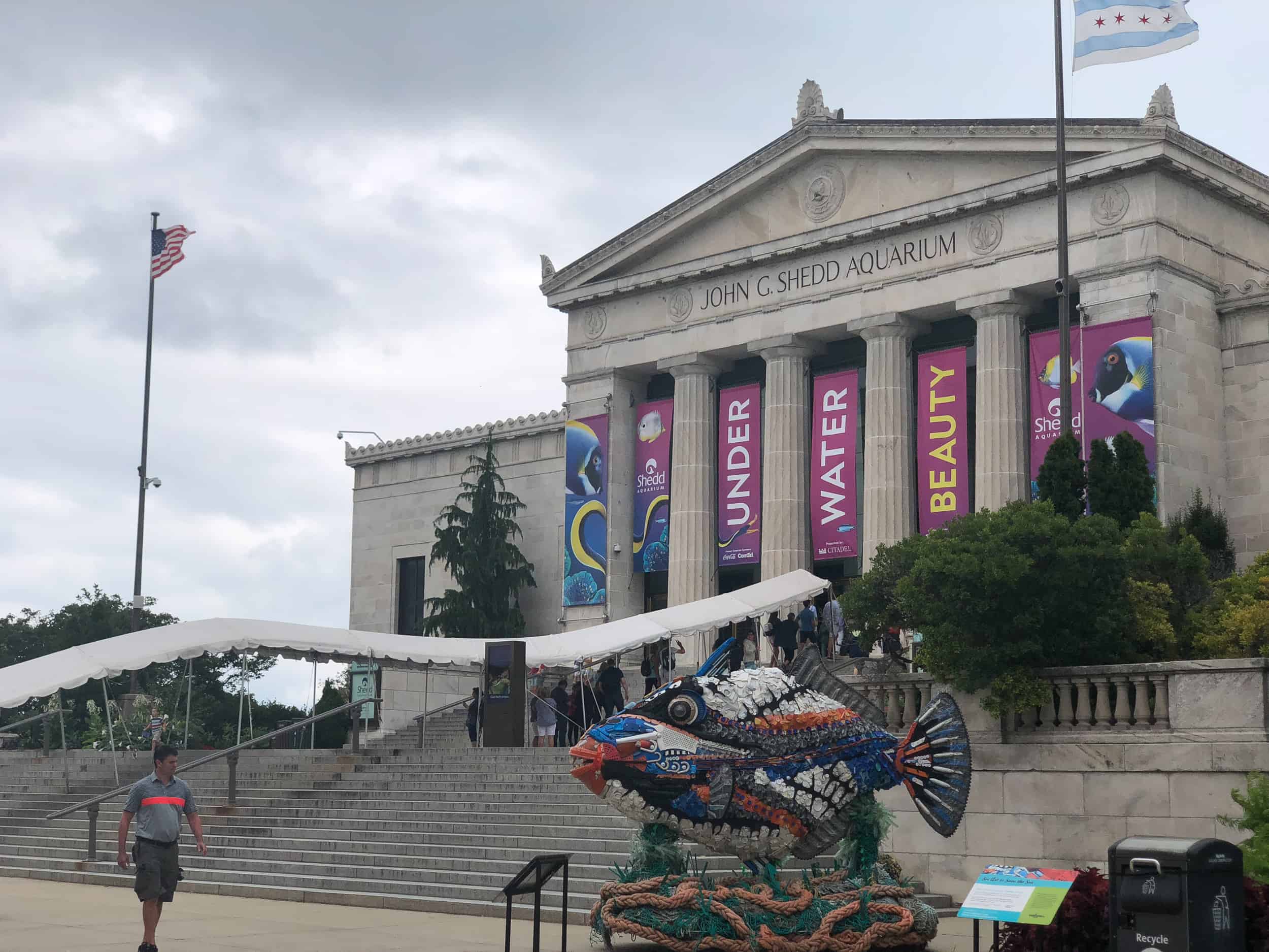 Shedd Aquarium – Chicago Traveler