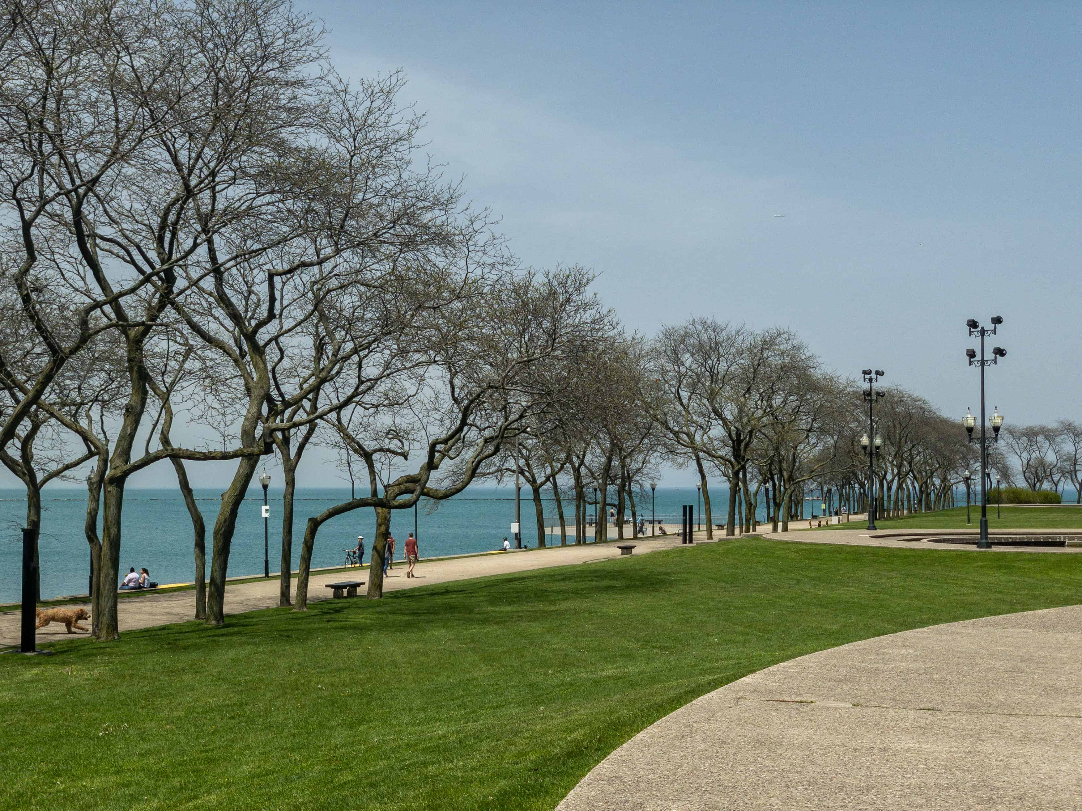 Milton Lee Olive Park Chicago Traveler