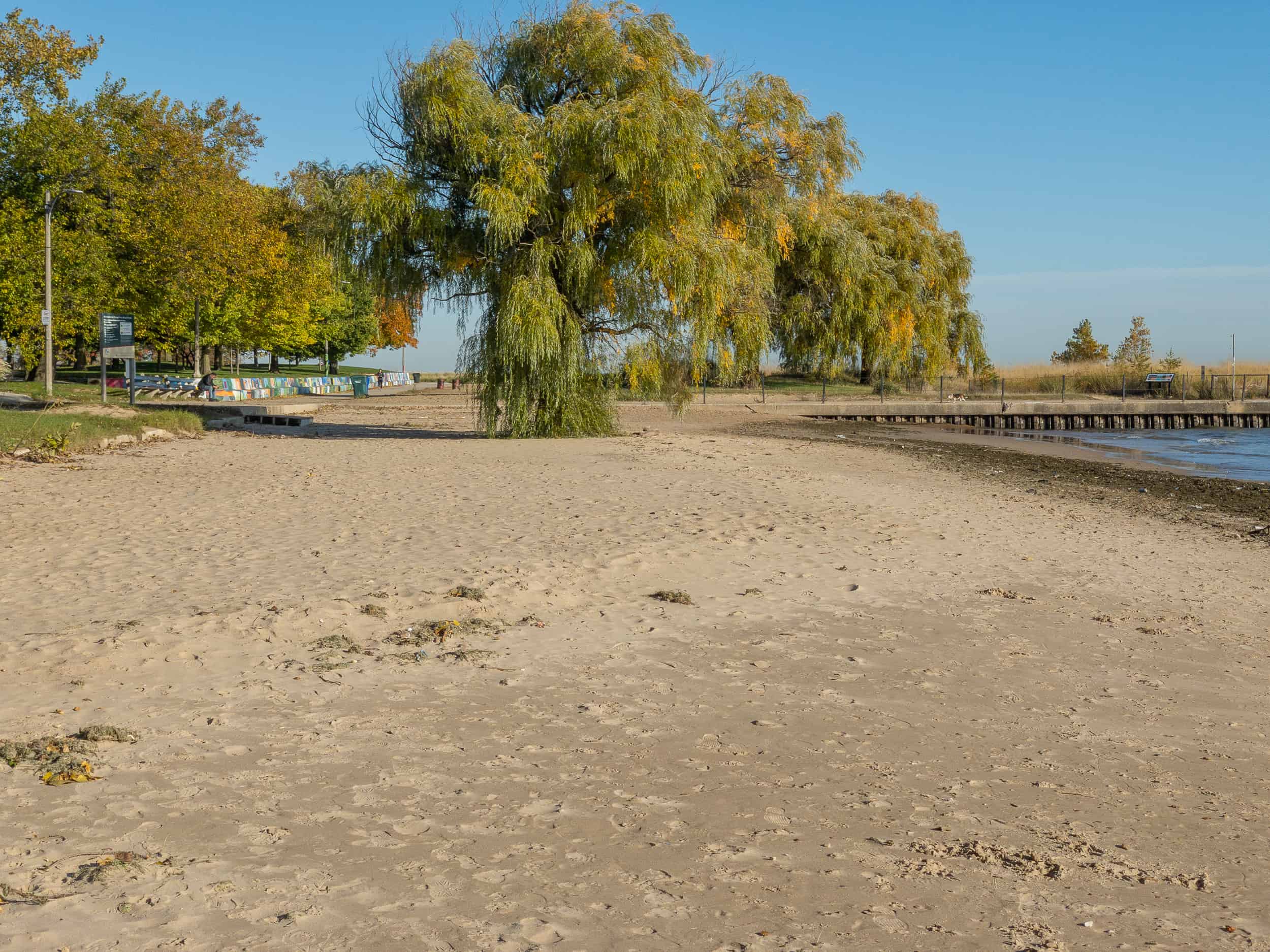 Tobey Prinz Beach Chicago Traveler