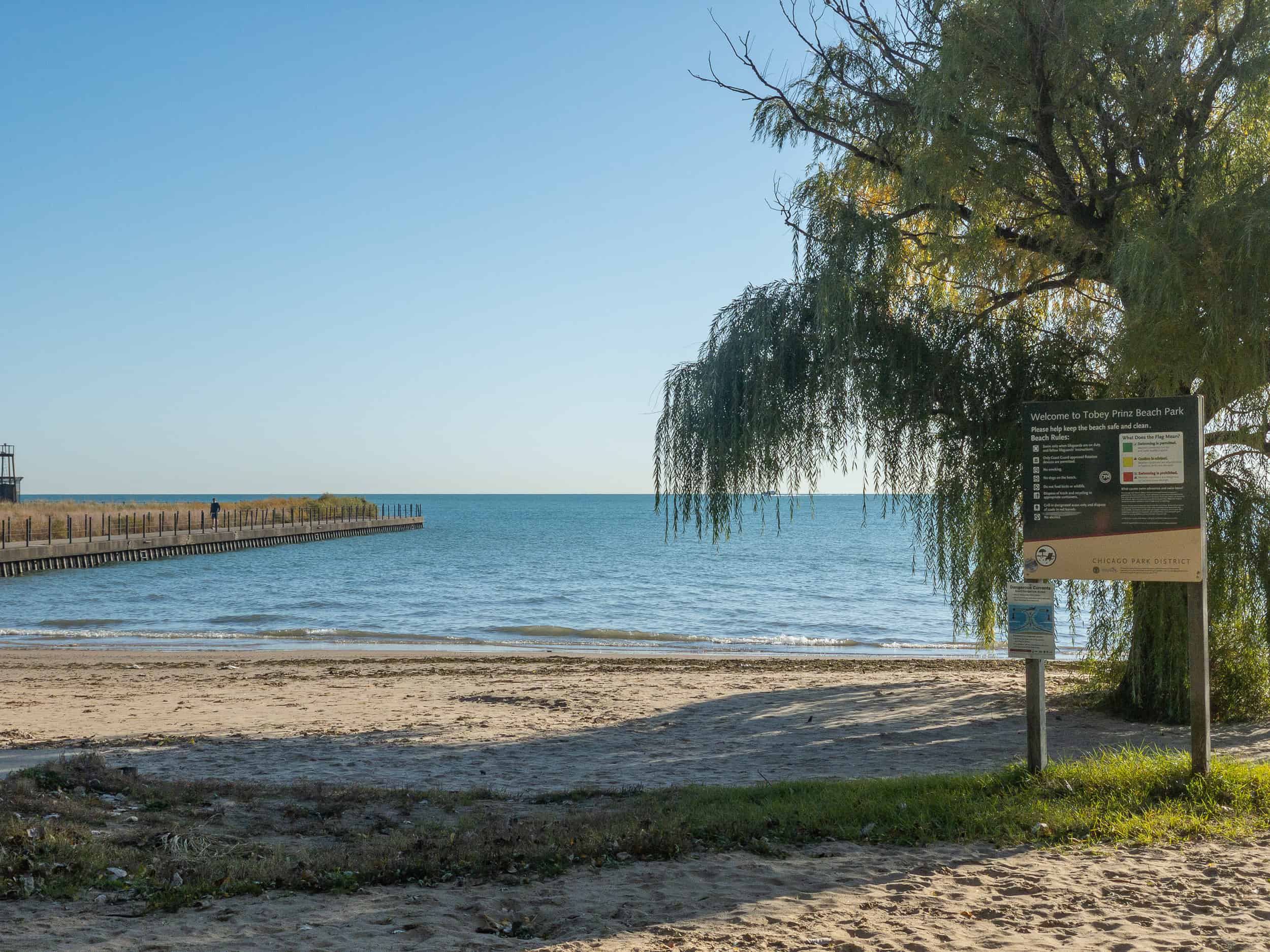 Tobey Prinz Beach Chicago Traveler